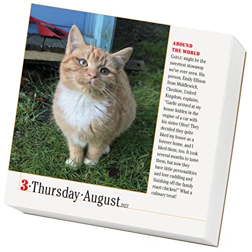 365 Cats Page-A-Day Calendar 2023: The World's Favorite Cat Calendar