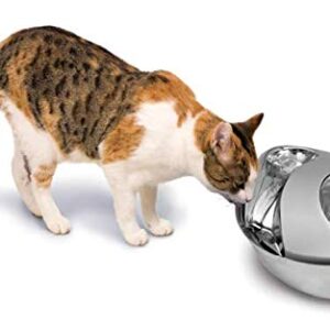 Pioneer Pet Stainless Steel Fountain Raindrop Design