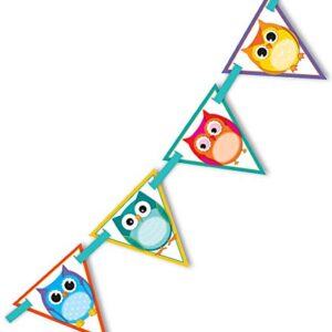 Carson Dellosa Banner, Colorful Owls (102038)