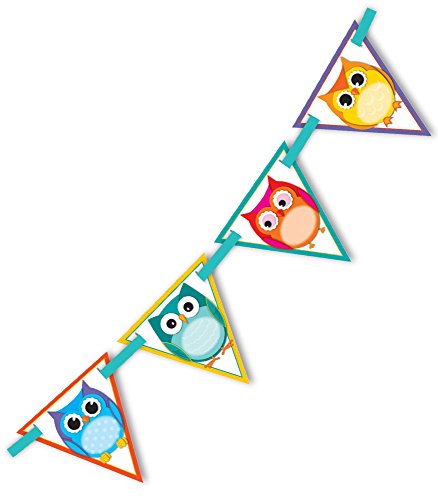 Carson Dellosa Banner, Colorful Owls (102038)