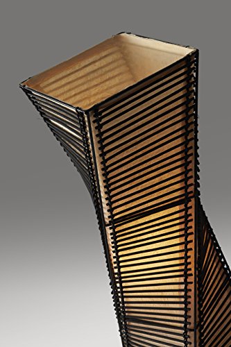 Adesso Home 4046-01 Transitional Two Light Floor Lamp from Stix Collection in Black Finish, Lantern