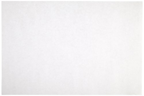 Sax Sulphite Drawing Paper, 80 lb, 9 x 12 Inches, Extra-White, Pack of 500 - 053943