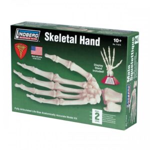 Lindberg Skeletal Hand