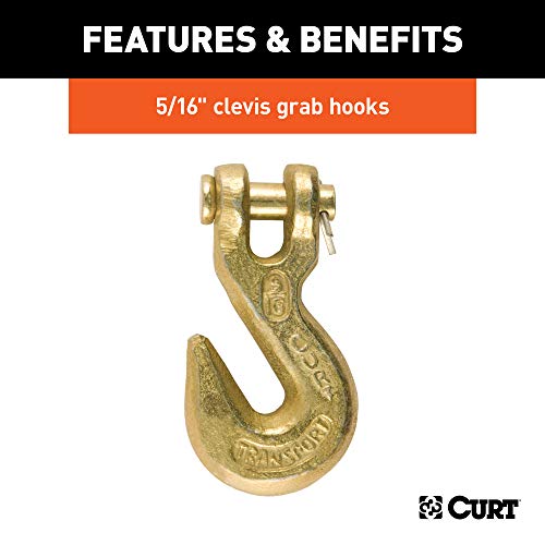 CURT 80308 25-Foot Transport Binder Chain, 5/16-Inch Clevis Hooks, 18,800 lbs Break Strength, Load Tie-Down, Trailer, Flatbed