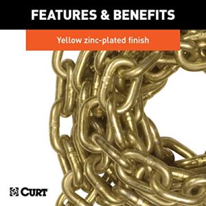 CURT 80308 25-Foot Transport Binder Chain, 5/16-Inch Clevis Hooks, 18,800 lbs Break Strength, Load Tie-Down, Trailer, Flatbed