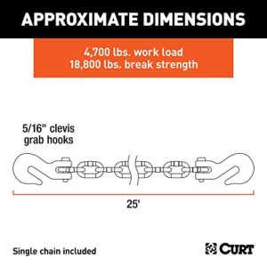 CURT 80308 25-Foot Transport Binder Chain, 5/16-Inch Clevis Hooks, 18,800 lbs Break Strength, Load Tie-Down, Trailer, Flatbed