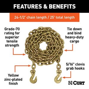 CURT 80308 25-Foot Transport Binder Chain, 5/16-Inch Clevis Hooks, 18,800 lbs Break Strength, Load Tie-Down, Trailer, Flatbed