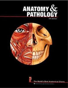 anatomy & pathology: the world’s best anatomical charts