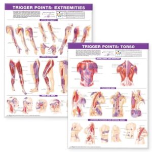 trigger point chart set: torso & extremities lam