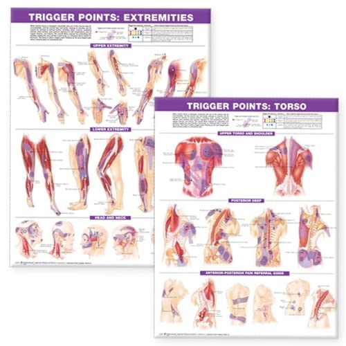 Trigger Point Chart Set: Torso & Extremities Lam