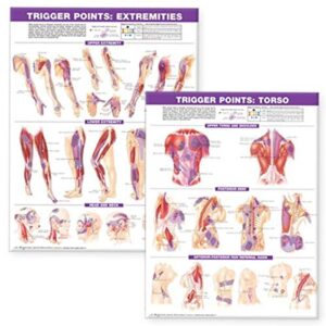 trigger point chart set: torso & extremities paper