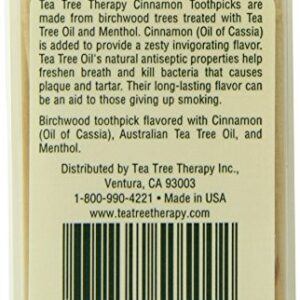 Tea Tree Therapy Toothpicks, Cinnamon, 100 Count