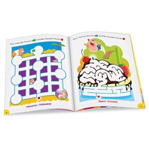 Trend Enterprises Fun with Mazes Wipe-Off Book