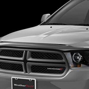 WeatherTech Custom Fit Stone & Bug Deflector for Dodge Ram 1500, Dark Smoke