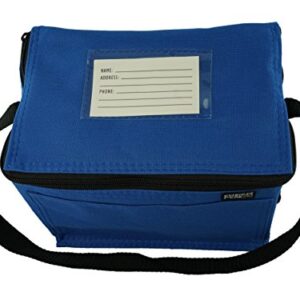 Insulated Lunch Bag (Blue)