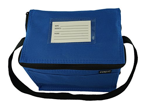 Insulated Lunch Bag (Blue)