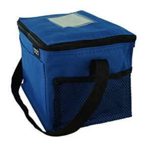 Insulated Lunch Bag (Blue)