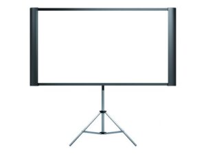 epson duet 80-inch dual aspect ratio projection screen