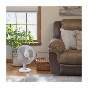 Comfort Zone CZ121WT 12” 3-Speed Oscillating Table Fan with Adjustable Tilt, Convenient Push Button Controls, Quiet Operation, White