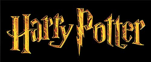 Harry Potter Hogwart's Printed Wall Banner, 20 x 30-Inches