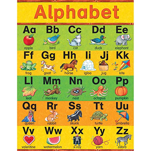 Teacher Created Resources SW Alphabet Chart, Multi Color (7635)