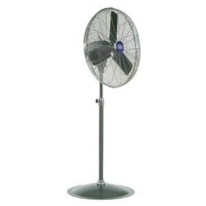 Global Industrial Oscillating Pedestal Fan, 30" Diameter, 1/3HP, 8775CFM