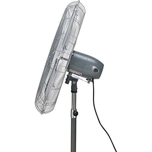 Global Industrial Oscillating Pedestal Fan, 30" Diameter, 1/3HP, 8775CFM