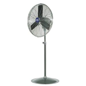 Global Industrial Oscillating Pedestal Fan, 30" Diameter, 1/3HP, 8775CFM