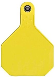 ear tags yellow large blank 25/pk