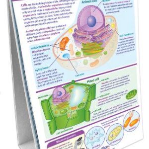 NewPath Learning 10 Piece Mastering Middle School Life Science Curriculum Mastery Flip Chart Set, Grade 5-9 Multi, 12 L X 18 W in