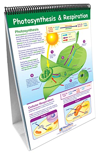 NewPath Learning 10 Piece Mastering Middle School Life Science Curriculum Mastery Flip Chart Set, Grade 5-9 Multi, 12 L X 18 W in