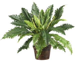 nearly natural 6534 marginatum with wicker basket decorative silk plant, green