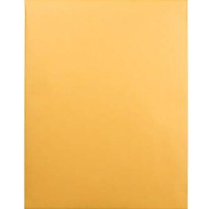 Quality Park Heavyweight Catalog Envelopes, Gummed, Brown Kraft, 12 x 15.5, 100 per Box, (41967)