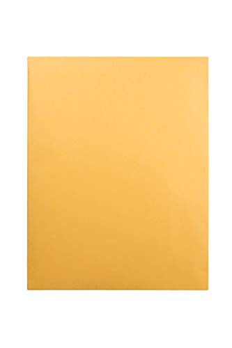 Quality Park Heavyweight Catalog Envelopes, Gummed, Brown Kraft, 12 x 15.5, 100 per Box, (41967)