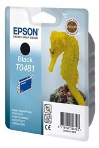 epson stylus photo r300 ink cartridge – black