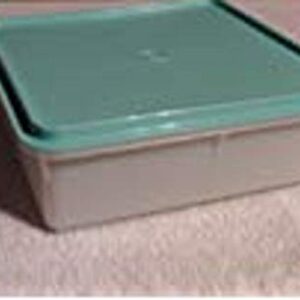 Tupperware Snack N Stor Container