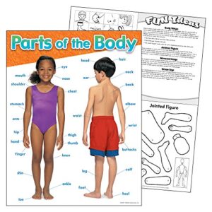 TREND enterprises, Inc. Parts of The Body Learning Chart, 17" x 22"