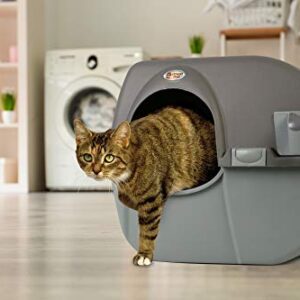 Omega Paw Self-Cleaning Litter Box, Regular, Taupe