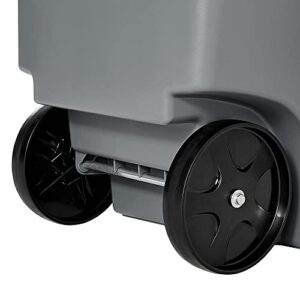 Rubbermaid Commercial Products Brute Rollout Trash/Garbage Can/Bin with Wheels, 95 GAL, for Restaurants/Hospitals/Offices/Back of House/Warehouses/Home, Gray (FG9W2200GRAY)