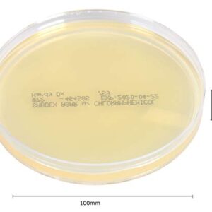 Sabdex (Sabouraud Dextrose) Agar with Chloramphenicol, Deep Fill, 15x100mm Plate, Order by The Package of 10, by Hardy Diagnostics