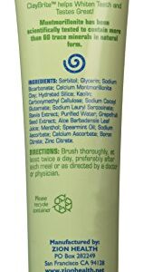 Zion Health Claybrite Natural Toothpaste, Natural Mint, 4 Ounce (Packaging may vary)