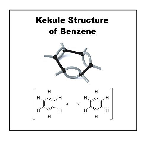 Organic Chemistry Molecular Model Set (140 Pieces)