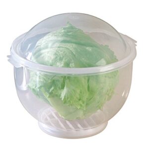 WalterDrake Lettuce KeeperTM - Lettuce Crisper Salad Keeper Container Keeps your Salads and Vegetables Crisp and Fresh- 7" X 8" (brown) (1) (1)