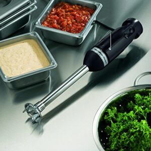 Hamilton Beach Commercial HMI200 Immersion Blender Mixer, 175W, 2 Speeds, Detachable 9" Chopping/Mixing Shaft, 17.74" H, 3.15" W, 2.57" L, Black,Medium