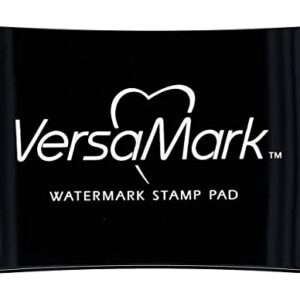 Tsukineko VM000001 Full-Size VersaMark Pigment Inkpad, 3-Inch X 2-Inch, Clear