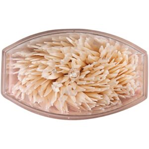 Brushpicks Toothpicks, 275 Count