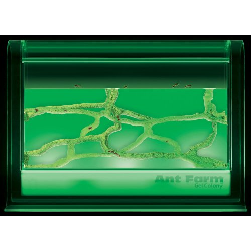 Uncle Milton Ant Farm Live Ant Habitat, Light-Up Gel Colony