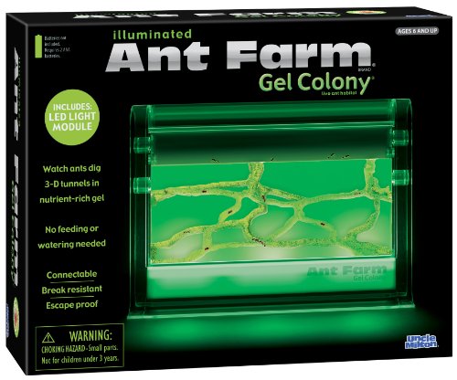 Uncle Milton Ant Farm Live Ant Habitat, Light-Up Gel Colony