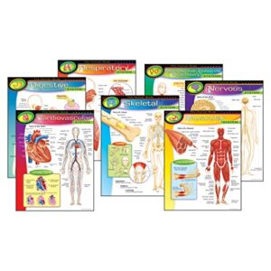 TREND ENTERPRISES, INC. T-38913 The Human Body Learning Charts Combo Pack, Set of 7, Multi