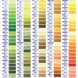 DMC COLORCRD Needlework Threads 12-Page Printed Color Card